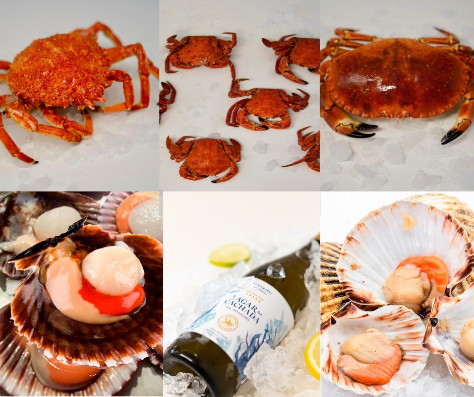 Mariscada celebración para 4 pax (cocida) – Mariscos Galicia